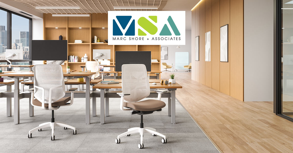 Portfolio - MSA - Marc Shore Associates LLC